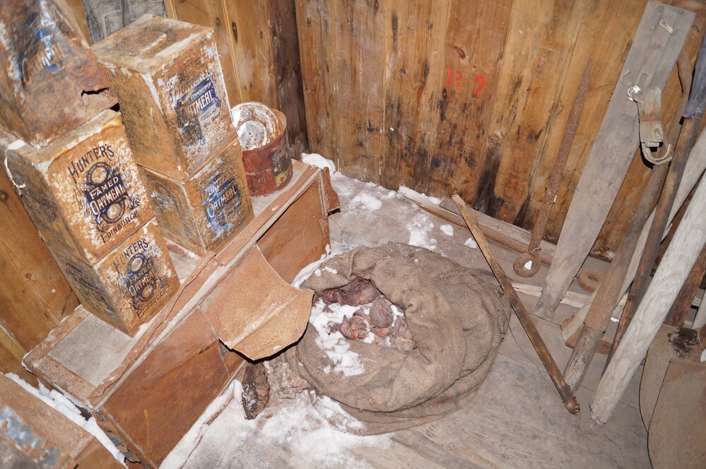2013-14 Location image, artefacts, Scott's 'Discovery' hut, Hut Point ...